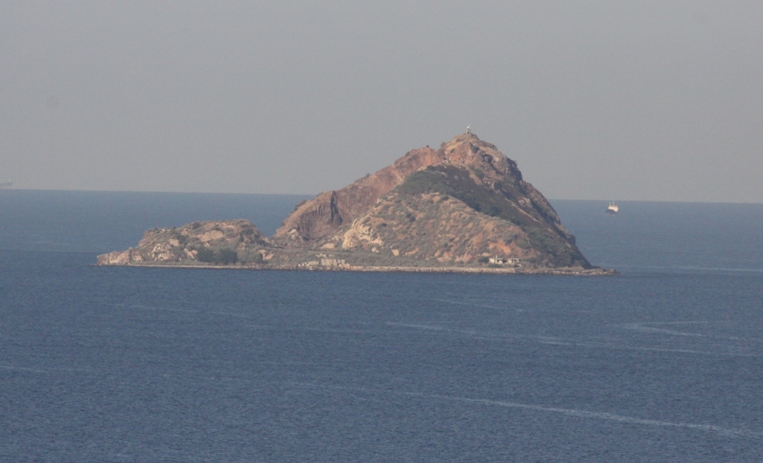 La isla de Estambul donde los perros eran exterminados – PLANETA ESTAMBUL